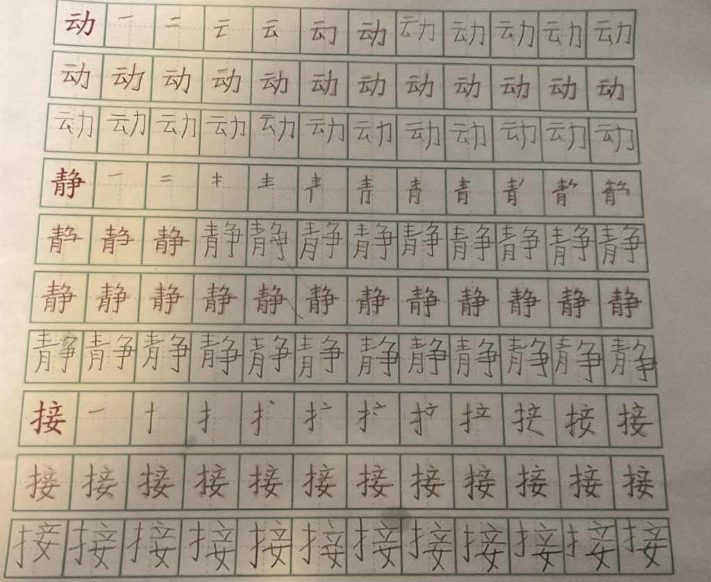How an 8-Year Old Boy Learned to Write Chinese Characters in 1 Year ...